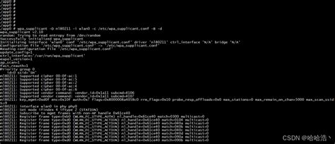 wifi相关功能使用教程 wpa supplicant及wpa cli 哈哈浩丶 博客园