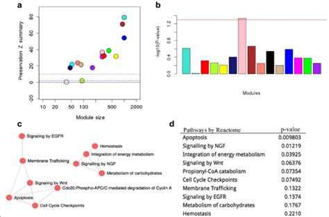 Wgcna Modules And Function Enrichment A Module Preservation Z Summary