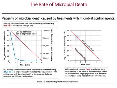 Microbio Chpt 7 Flashcards Quizlet