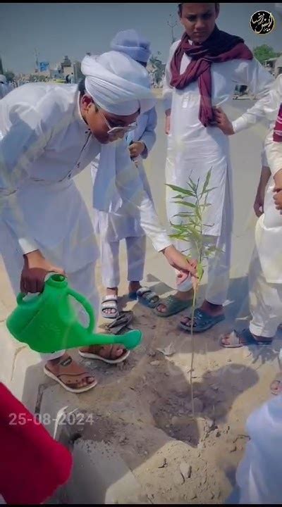 حافظ انس رضا عطاری شجر کاری 🌱🌳 کرتے ہوئے 25 اگست 2024 ۔ Plantion August Viral Youtube