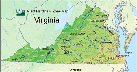 Virginia Beach Va Usda Hardiness Zone Map And Planting Guide The Garden Magazine