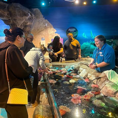 Sea Life Michigan Aquarium All You Should Know Before Going 2026