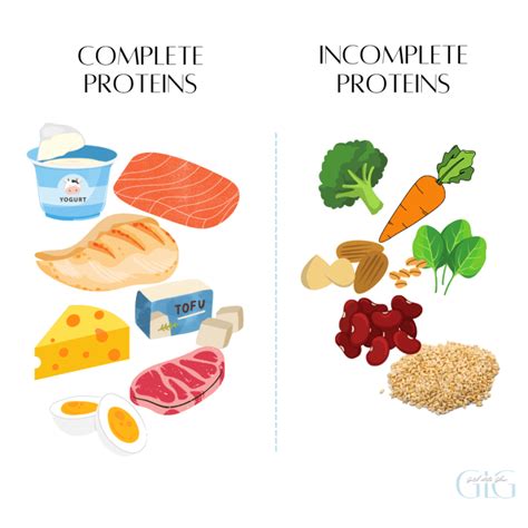 The Ultimate Guide To Protein The Most Talked About Macro