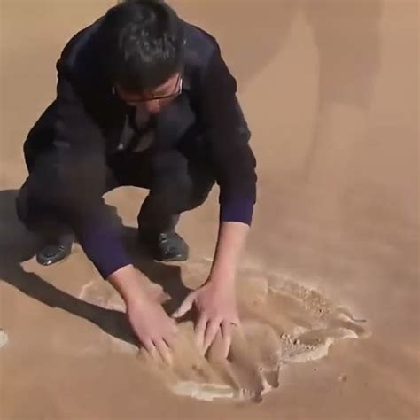 الصين تحول رمال الصحراء إلى جنات خضراء Youtube