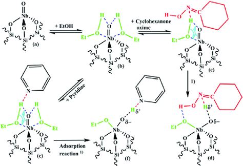 Cyclohexanone Oxime