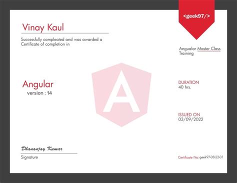 Vinay Kaul On Linkedin Ngindia Geek97 Angular