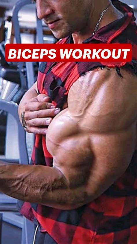 Biceps Workout Artofit