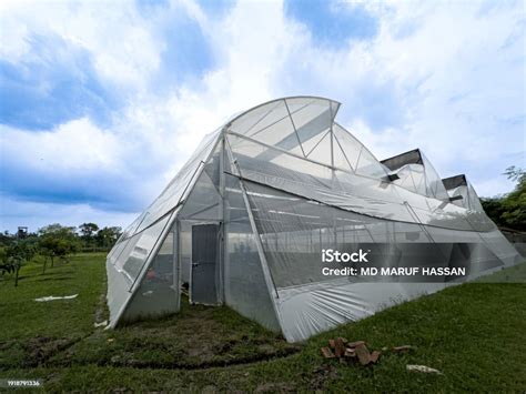 Polynet House New Technology In Agricultural Sector Of Bangladesh
