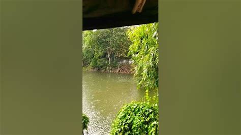 Brish🌧️🌧️⛈️ Shortvideos Viral Youtube