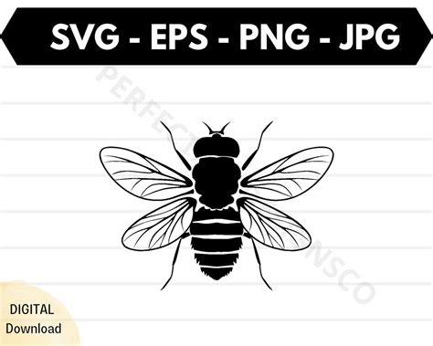 Hoverfly Silhouette Svg File Hoverfly Cutting Svg File For Cricut