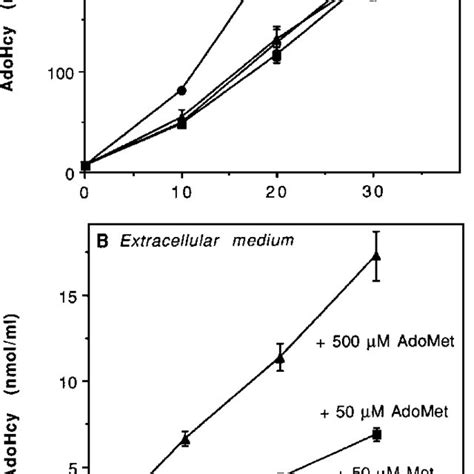 Effect Of Adenosine Dialdehyde On The Intracellular A And