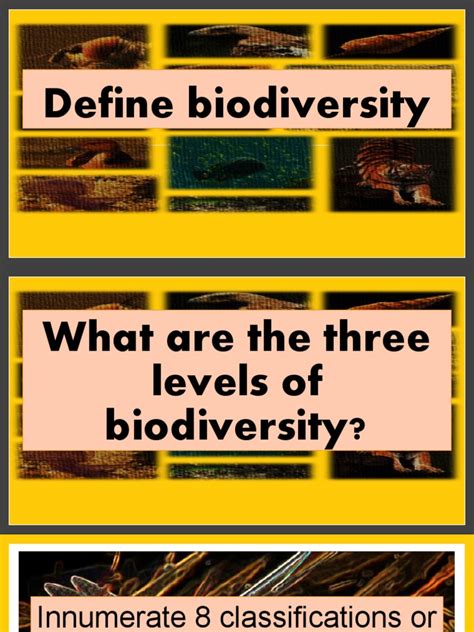 Archaea Domain Kingdom Archaebacteria 2 Pdf Archaea Biology