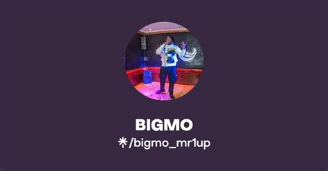 Bigmo Instagram Tiktok Linktree
