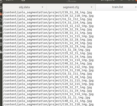 Cannot Load Image Txt Issue 8 Zhengshoujian Darknet Yolo