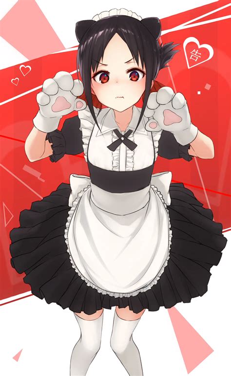 Discover More Like Animemaids Neko Maid Kaguya [kaguya Sama Love Is War] And Related Content