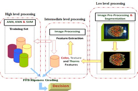 Image Processing Algorithms Levels For Ffb Ripeness Classification Download Scientific Diagram