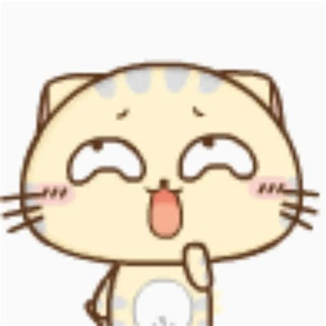 可爱猫咪吐舌卖萌，表情俏皮超有趣 Cc猫表情包 快乐到起飞表情包图片动图 求表情网斗图从此不求人