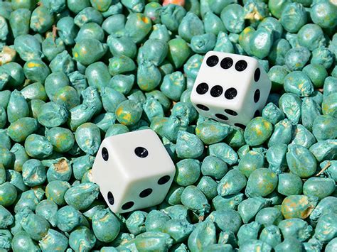 Summer 2019 Rolling Sevens