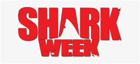 Shark Week Logo 10 Free Cliparts Download Images On Clipground 2026