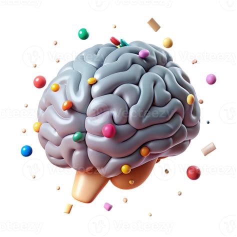 Extraordinary Contemporary Human Brain Stem Anatomy Cutout For