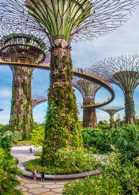 Singapore Gardens In The Sky 8 Best Free Sky Gardens In Singapore For