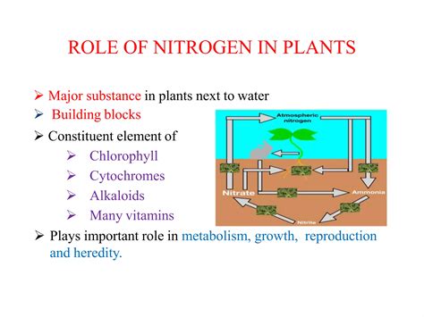 Plant Genetic Control Of Nodulation And Its Utilization In Fixing