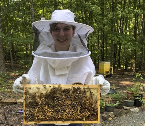 Introduction To Beekeeping Class Orange County Beekeepers Association