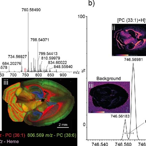 Desi Msi Analysis Of Murine Brain A A Representative Desi Mass Download Scientific Diagram