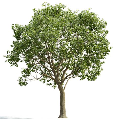 Archmodels Vol 255 Model Turbosquid 1794466