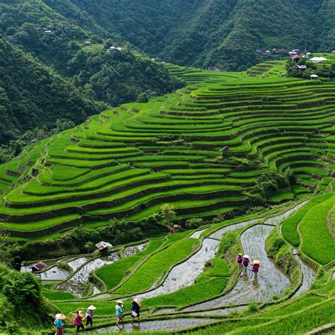 Banaues Stairway To Heaven Trekking The Iconic Rice Terraces