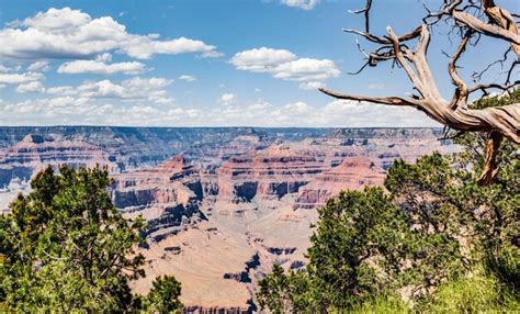 Premium Photo The Grand Canyon Landscape In Arizona Usa