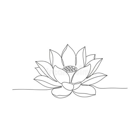 Flower Nelumbo Nucifera Stock Illustrations 3620 Flower Nelumbo