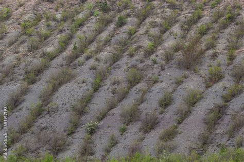 View Ravine Covered With Greenery Landscape Valley With Geological