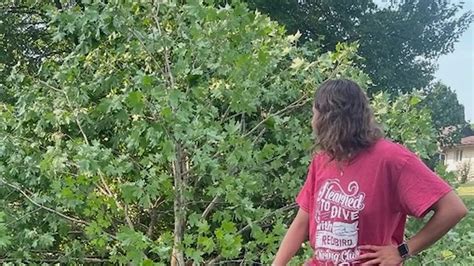 Homeowner Bewildered After Storm Reveals Unusual Sight In Backyard Can Anyone Shed Some Light