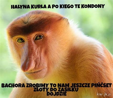 Halyna Najlepsze Memy Zdjęcia Y I Obrazki Kwejk Pl