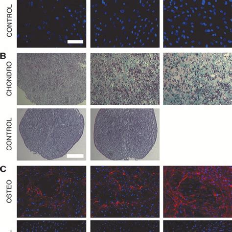 Deborah Studer Postdoc Position Phd The University Of Calgary