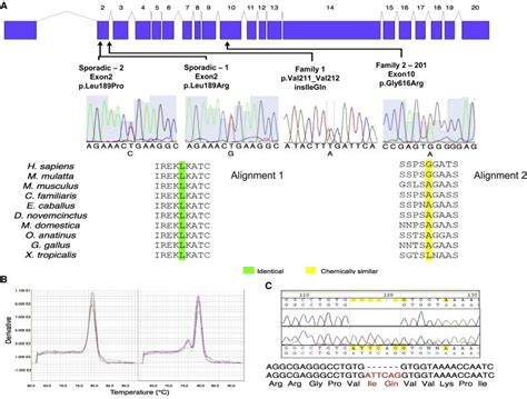 Mutations In Map3k1 Cause 46xy Disorders Of Sex Development And