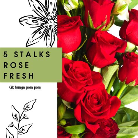 🌷 5pcs Roses 玫瑰 Fresh Flower Bunga Segar Rose Cameron Highlands