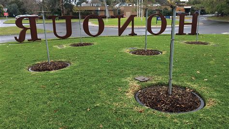 Tree Surrounds Apr Composites 08 8359 4999 Tree Guards Tree