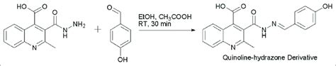 Formation Of Quinoline Hydrazone Derivative Download Scientific Diagram