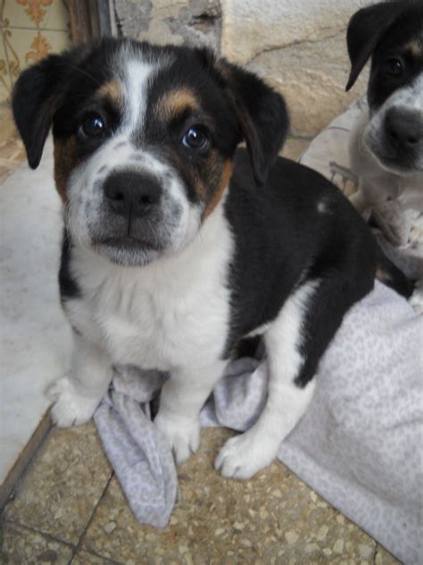 Loasi Felice Di Grazia Loasi Felice Di Grazia And Marta