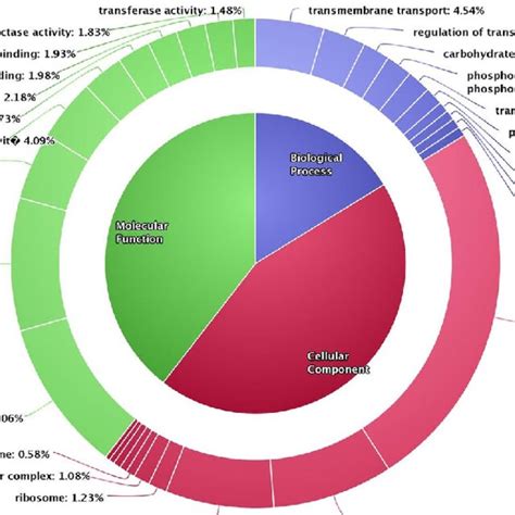 Tapestation Profile Of Illumina Library Epcr1 Download Scientific