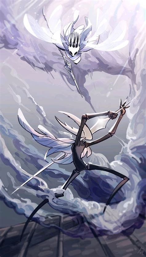 空洞骑士，前辈，白王 花瓣网