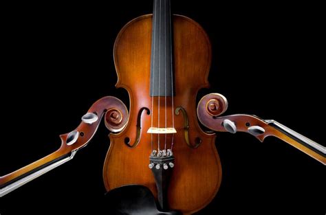 Orchestra String Instruments Are The Most Beautiful