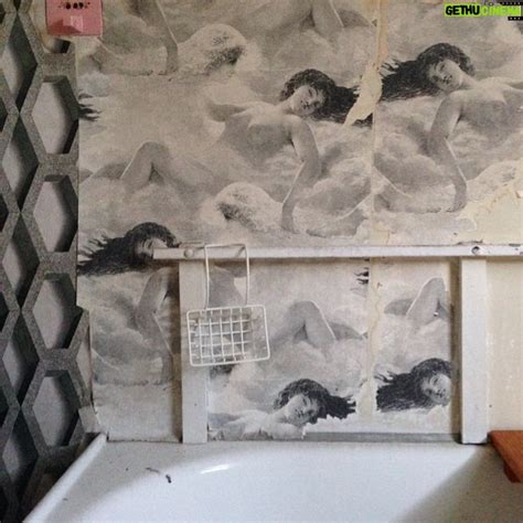 Ari Wegner Gethu Cinema