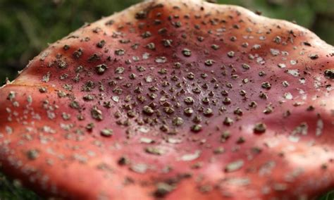 Events And Webinars Next Generation Sequencing Element Biosciences