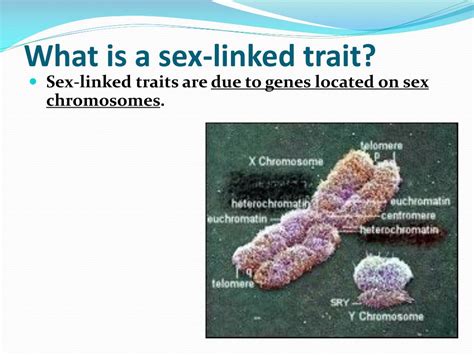Ppt Ch 52 53 And Ch 6 Powerpoint Presentation Free Download Id