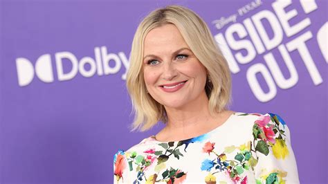 Amy Poehler Incinta 2024