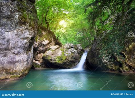 Écoulement De Ruisselet De Ressort Photo Stock Image Du Jungle Pluie
