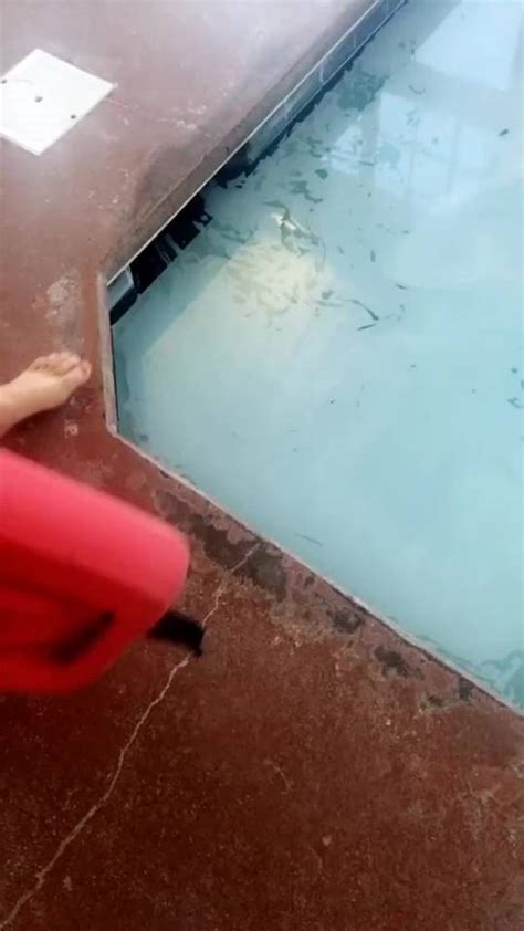 Reverse Elsa In A Small Pool Scrolller